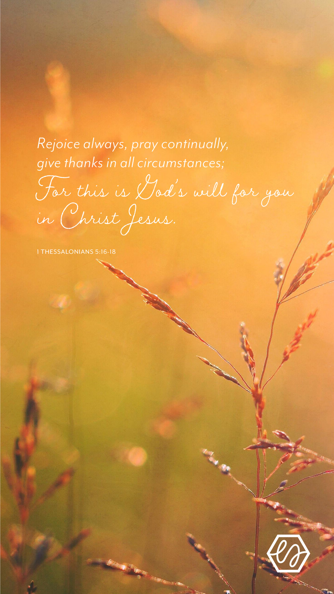 Downloads - Elizabeth Jarvis